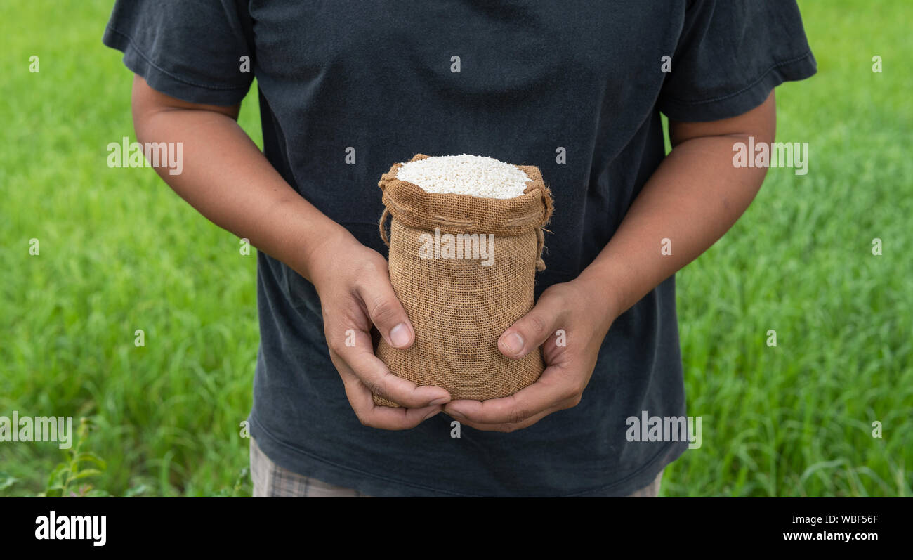 Hand bags of paddy sacks green rice background Stock Photo - Alamy