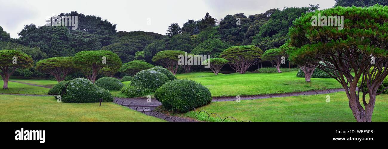 Traditional Japanese gardens in public parks in Tokyo, Japan. Views of ...
