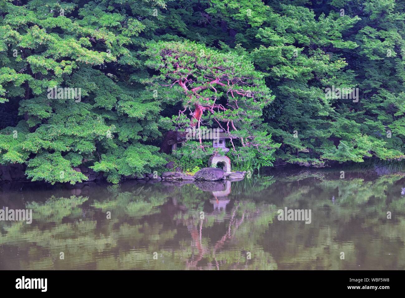 Traditional Japanese gardens in public parks in Tokyo, Japan. Views of ...