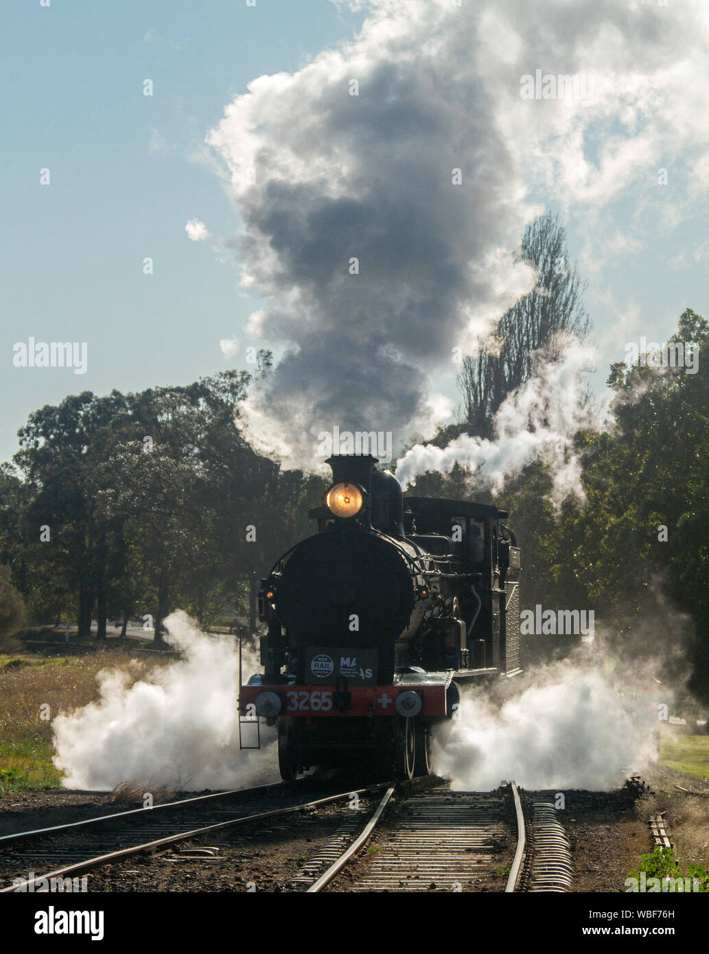 Restored steam train on railway tracks surrounded by clouds of steam at ...