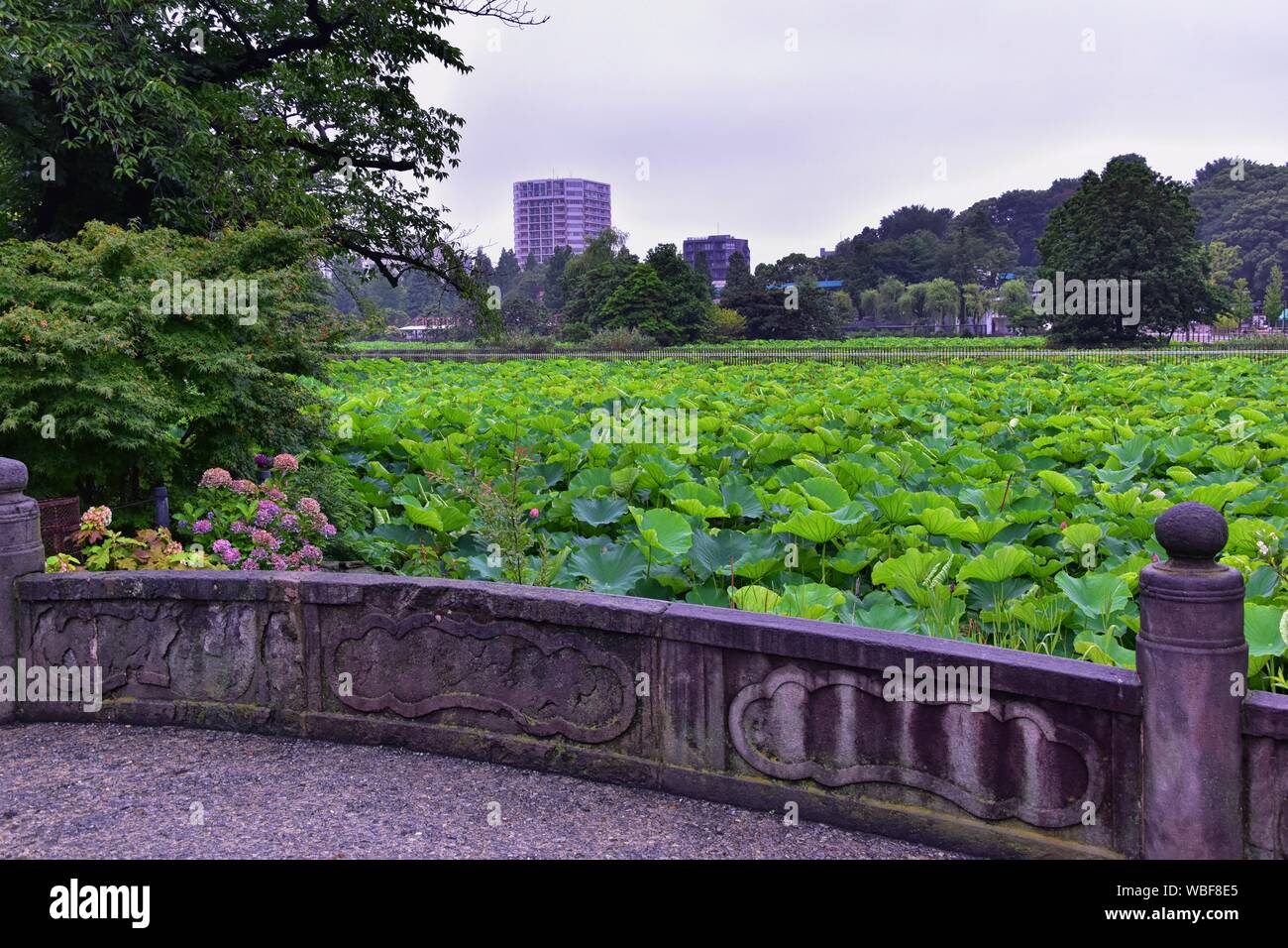 Traditional Japanese gardens in public parks in Tokyo, Japan. Views of ...