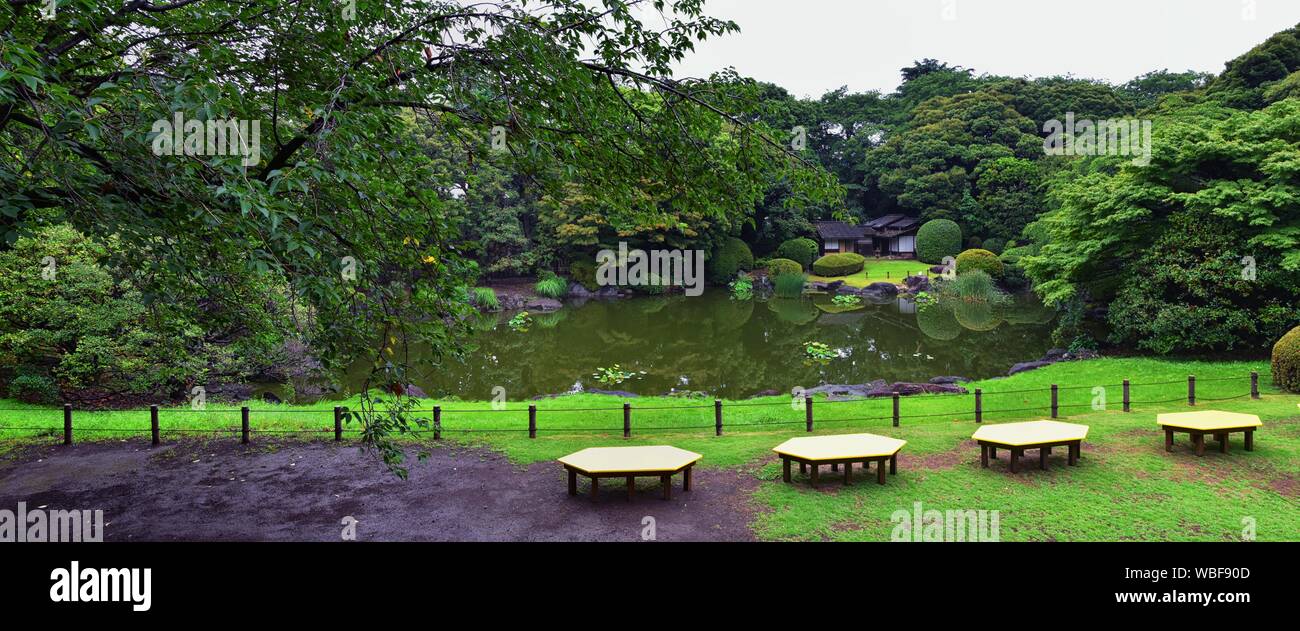 Traditional Japanese gardens in public parks in Tokyo, Japan. Views of ...