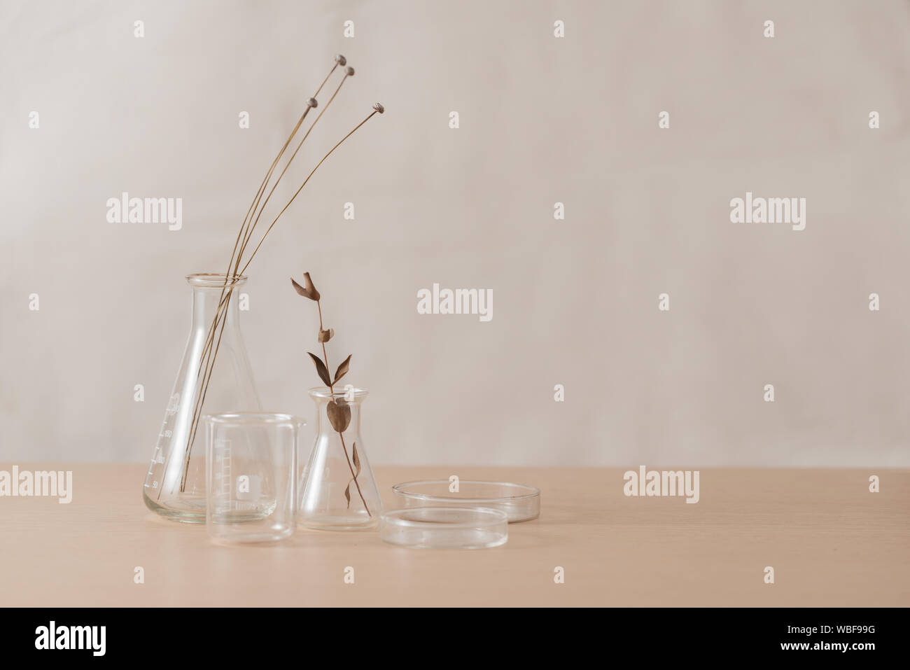 Laboratory flask flower High Resolution Stock Photography and Images ...