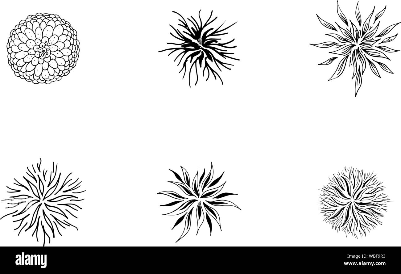 Outline Microbes Vector Set Isolated Black Simple Line Elements Collection From A Medical