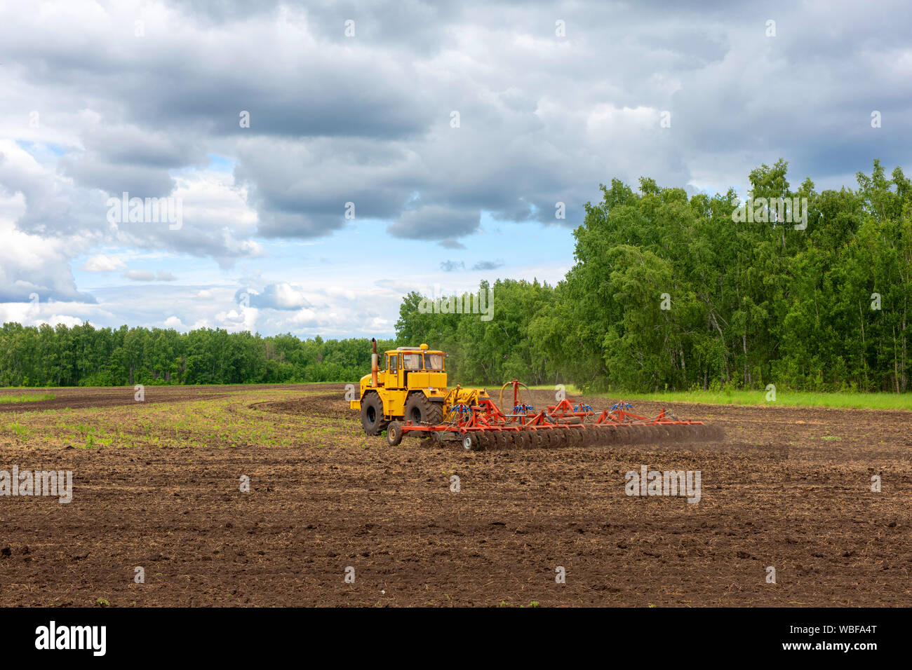Plowing tractor in the field. agricultural machine plows the field ...