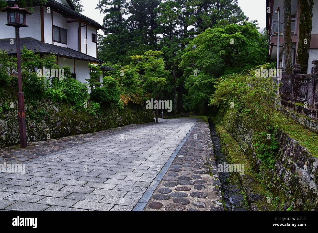 Traditional Japanese gardens in public parks in Tokyo, Japan. Views of ...