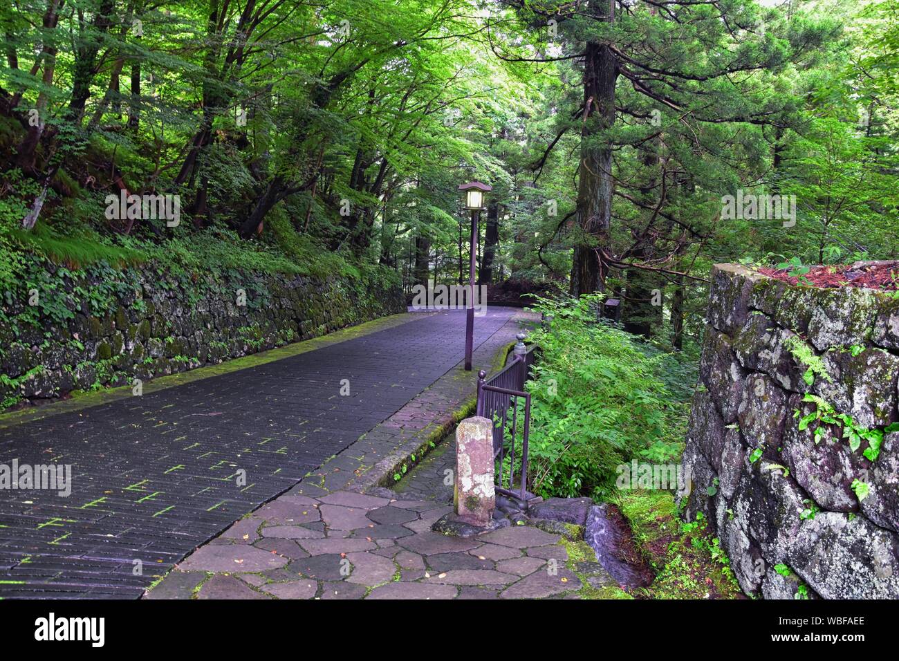 Traditional Japanese gardens in public parks in Tokyo, Japan. Views of ...