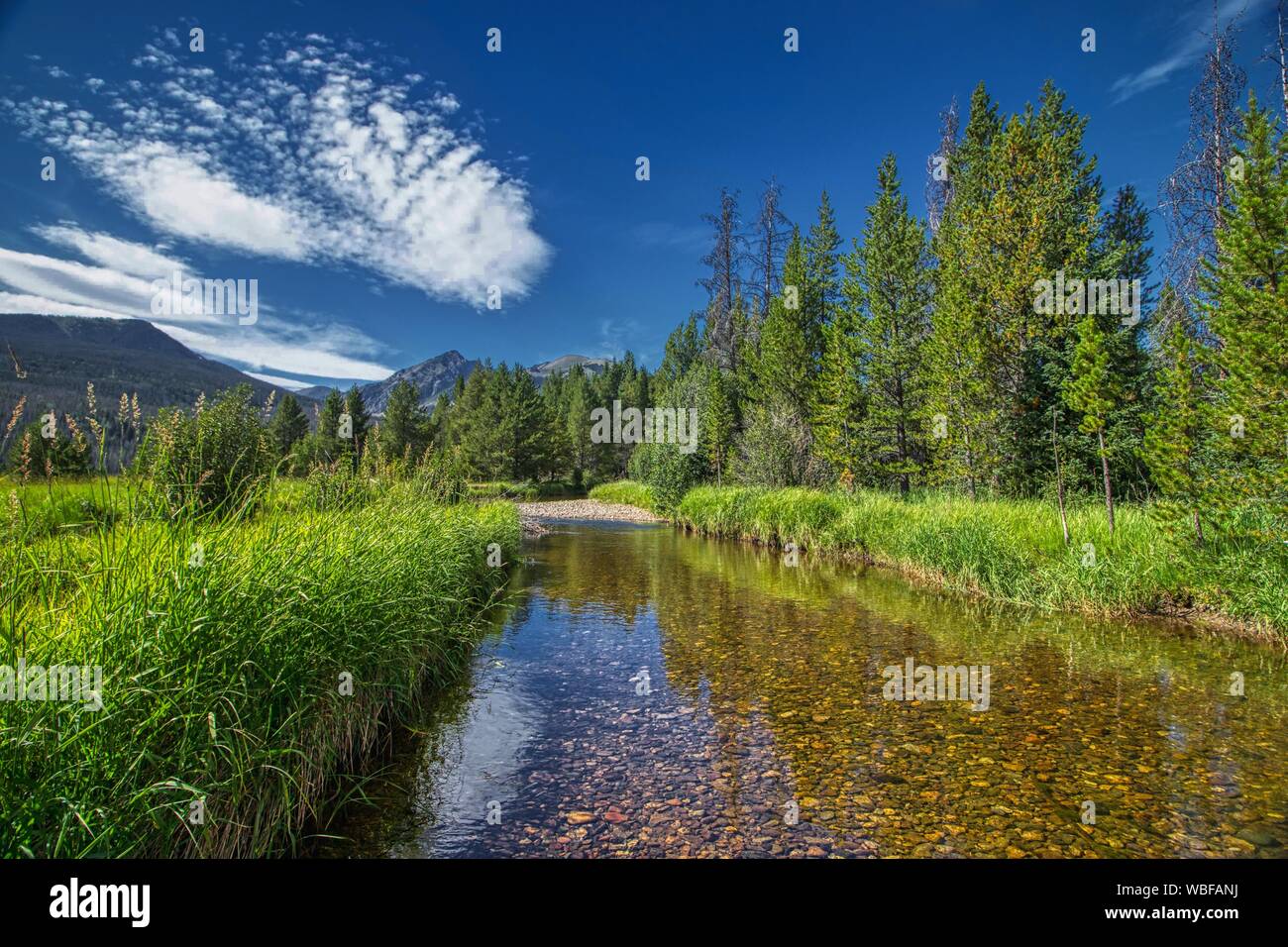 Colorado mountain hi-res stock photography and images - Alamy