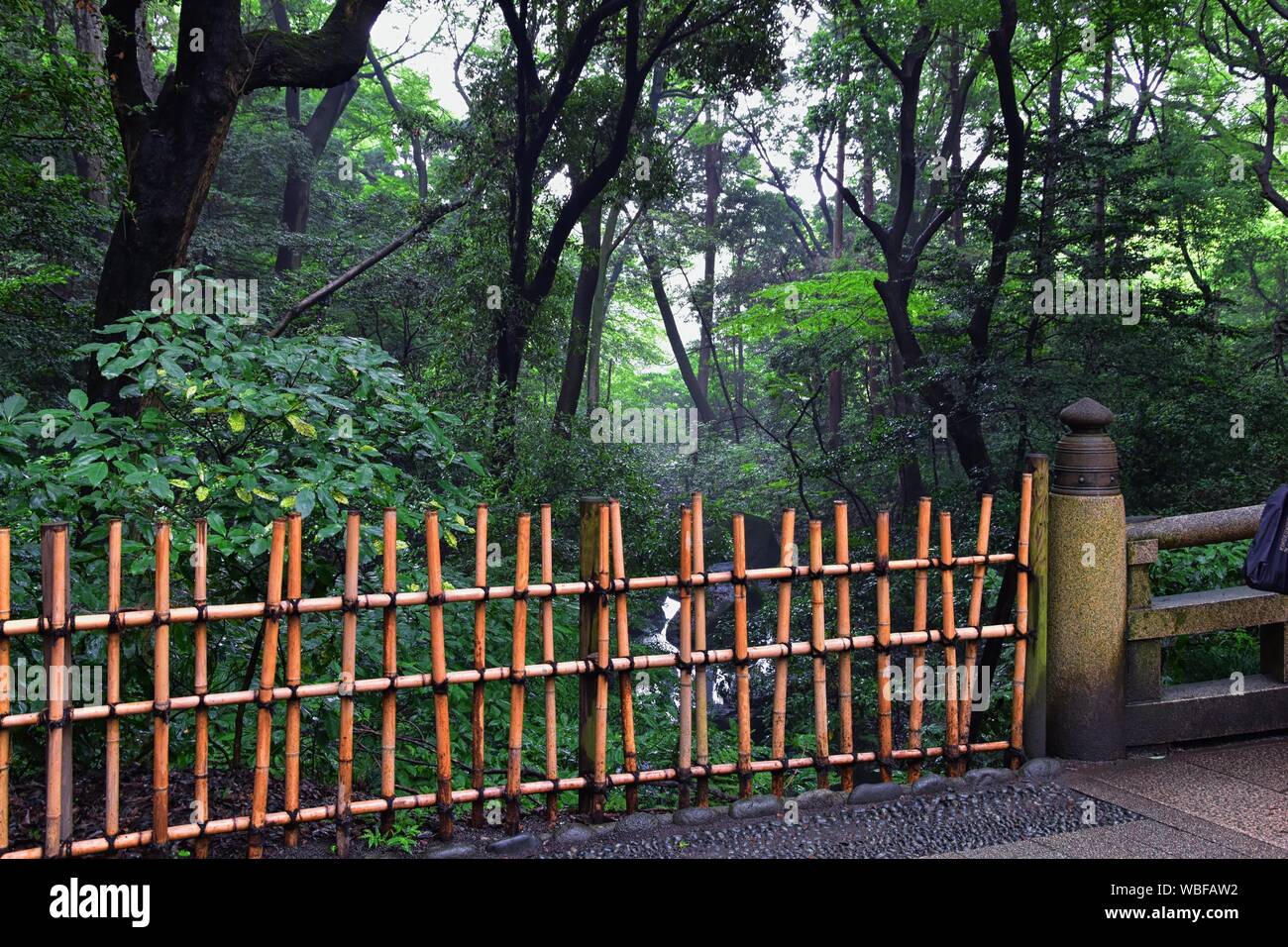 Traditional Japanese gardens in public parks in Tokyo, Japan. Views of ...