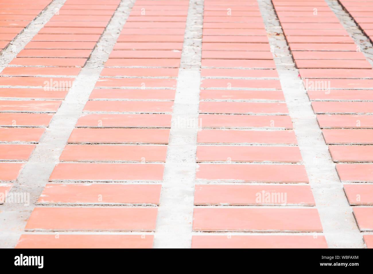 row tile ceramic orange on floor install with cement in work ...