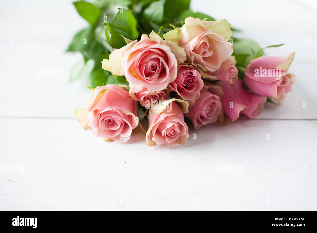 Laying a rose hi-res stock photography and images - Alamy