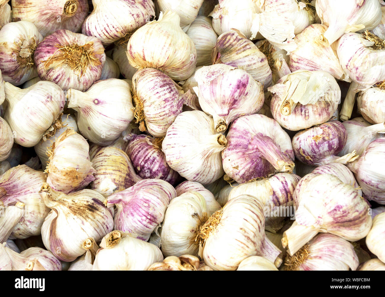 Full stack hi-res stock photography and images - Alamy