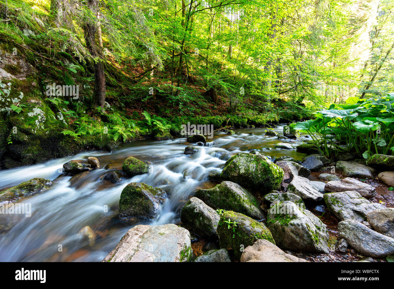 Haslach Gorge, Haslach, Black Forest, Baden-Württemberg, Germany Stock ...
