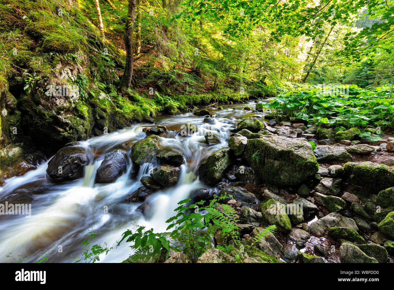 Haslach hi-res stock photography and images - Alamy