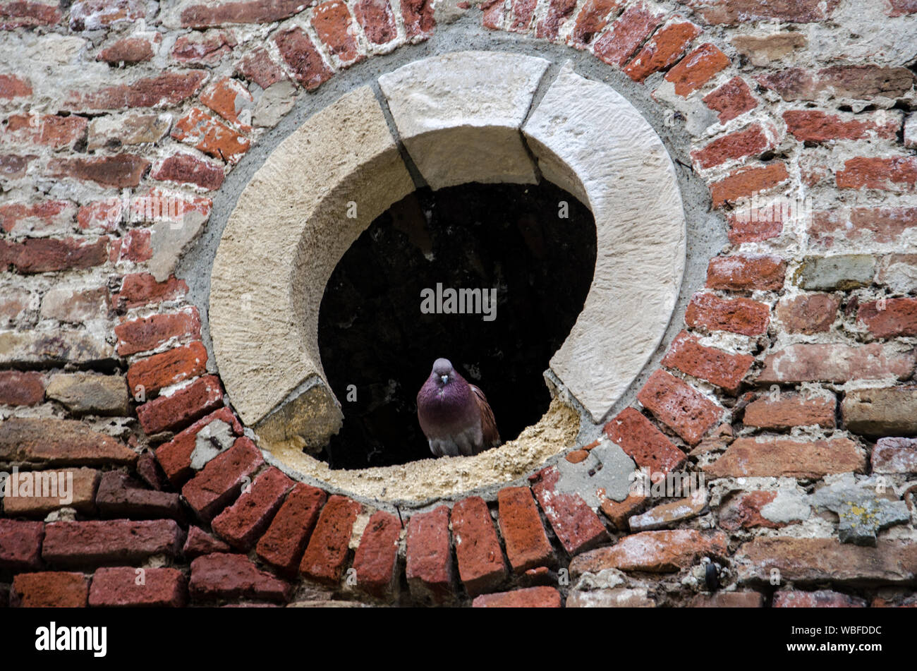 The hole in the wall hi-res stock photography and images - Alamy