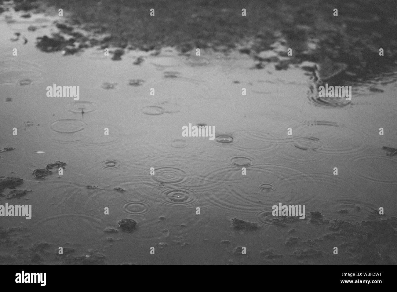 Raindrops Puddle High Resolution Stock Photography and Images - Alamy