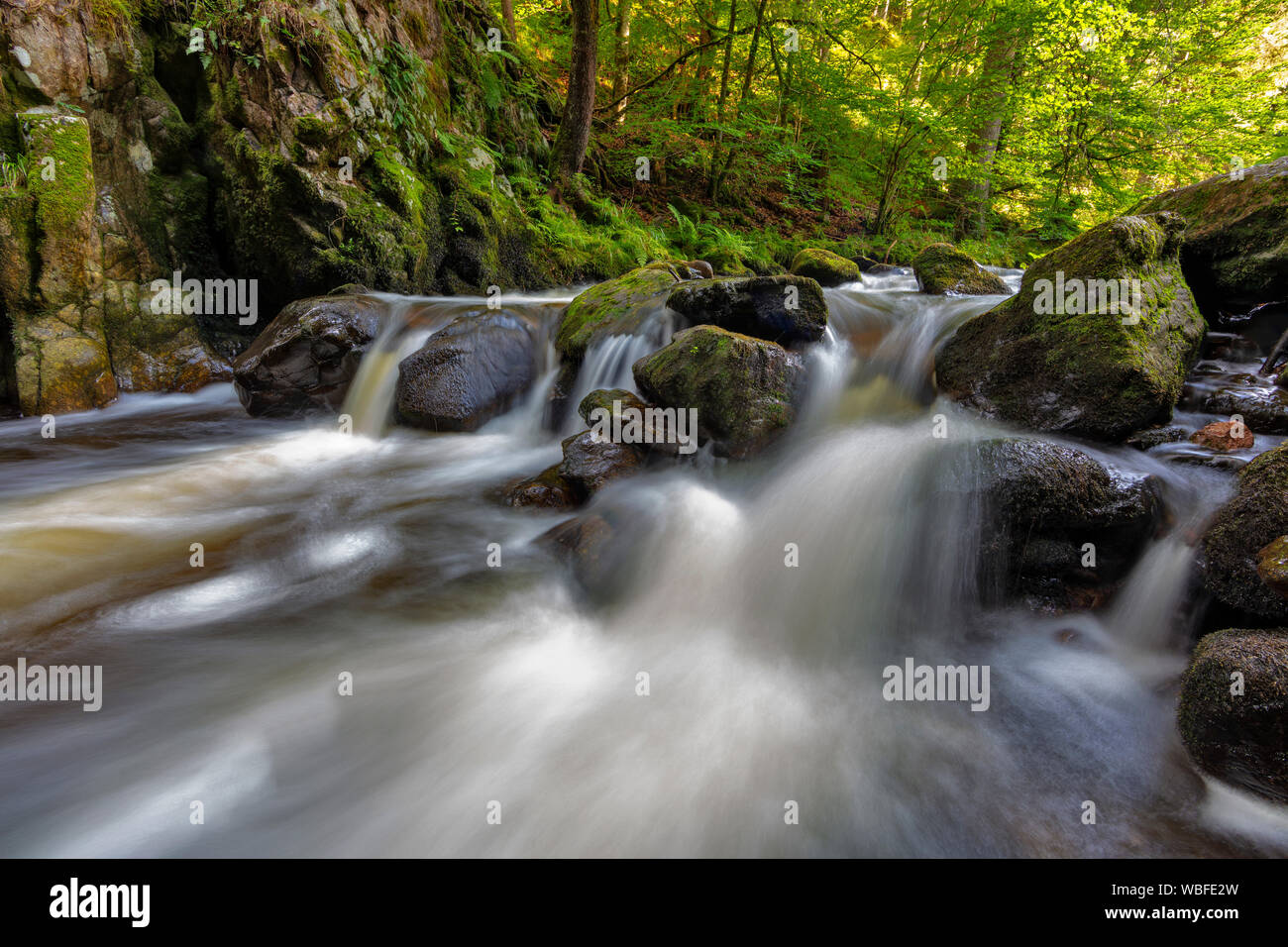 Haslach gorge hi-res stock photography and images - Alamy