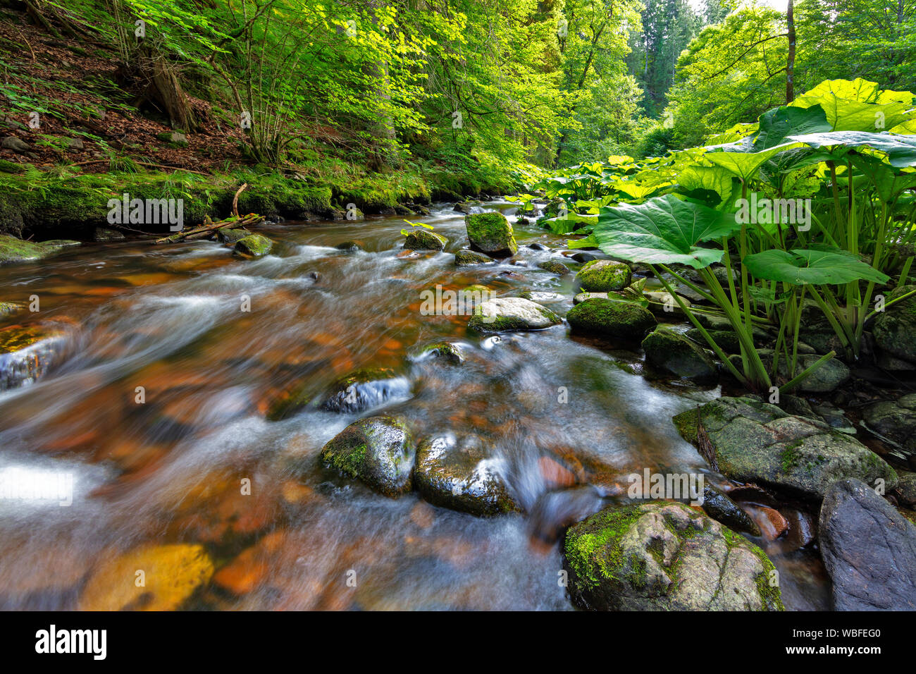 Waterfall of haslach hi-res stock photography and images - Alamy