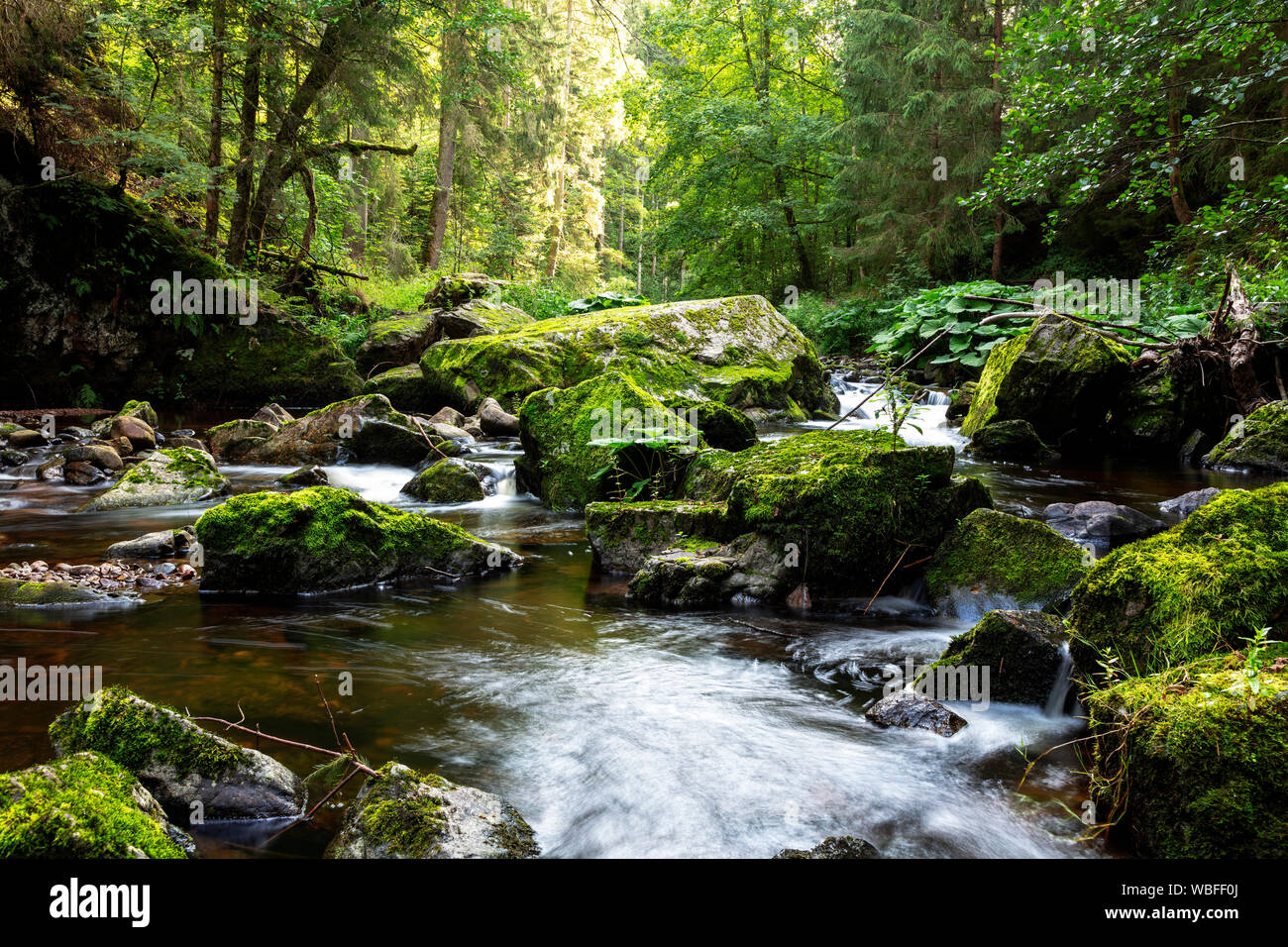 Waterfall of haslach hi-res stock photography and images - Alamy