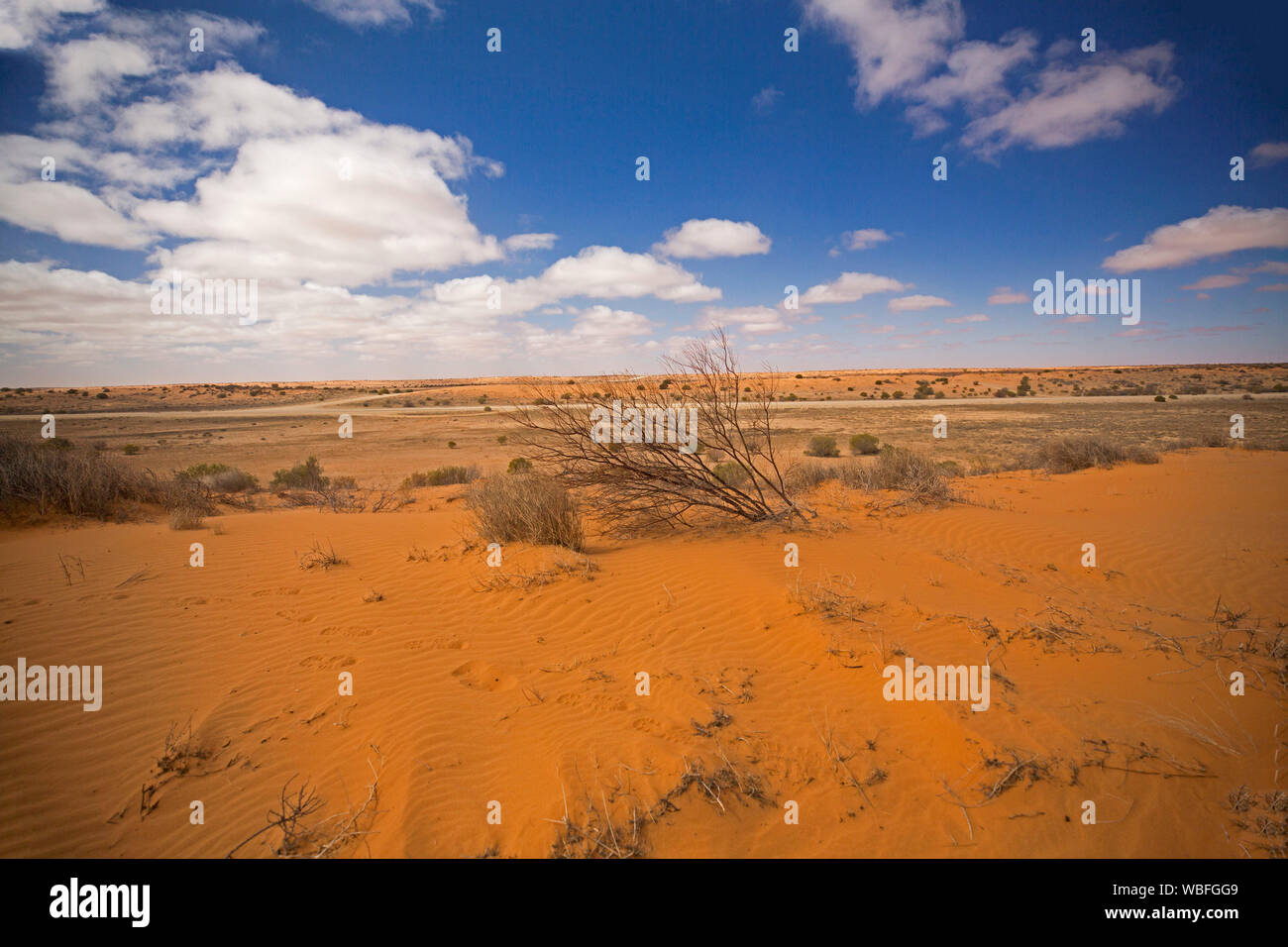 Arid Australian Outback Landscape With Vast Plains And Low Red Sand