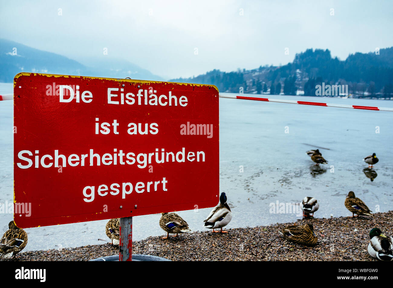 Sign do not disturb the ducks hi-res stock photography and images - Alamy