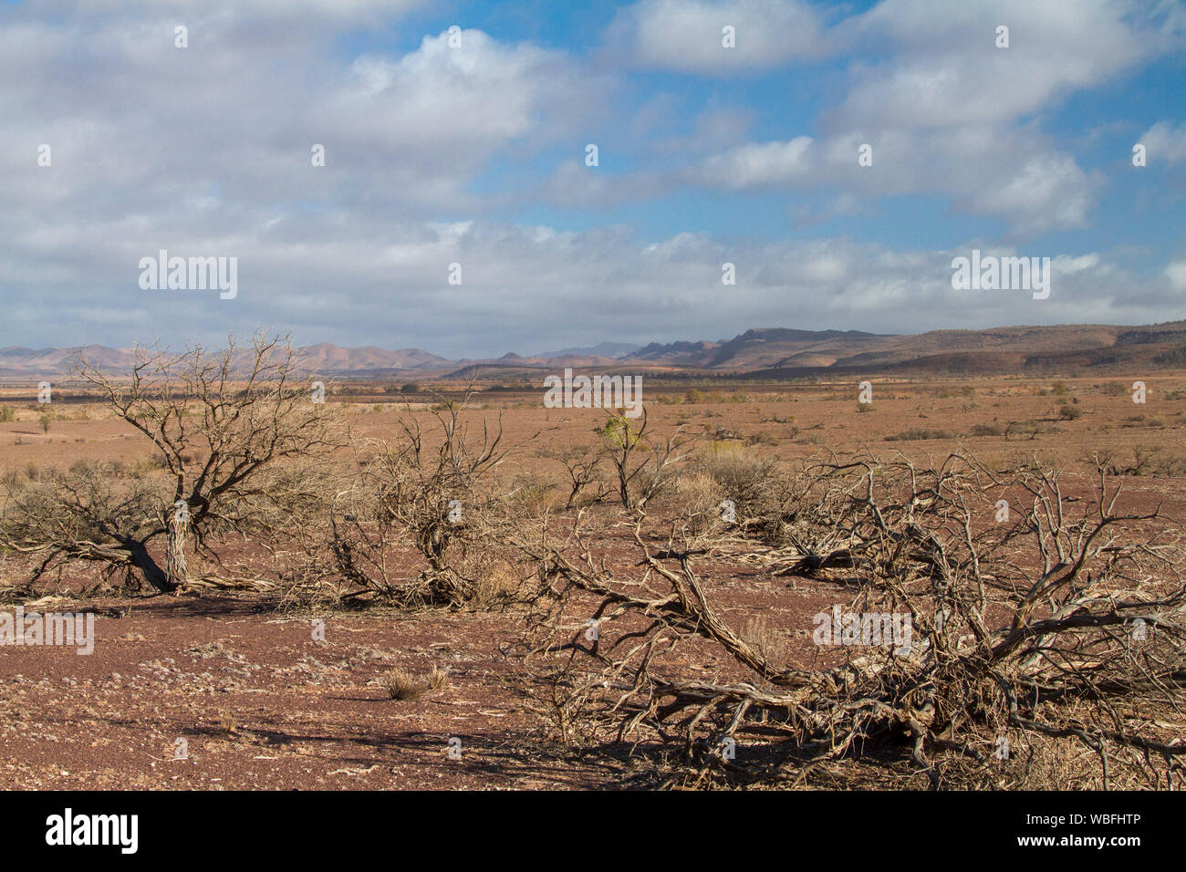 Arid Australian outback landscape with barren red soil of plains ...