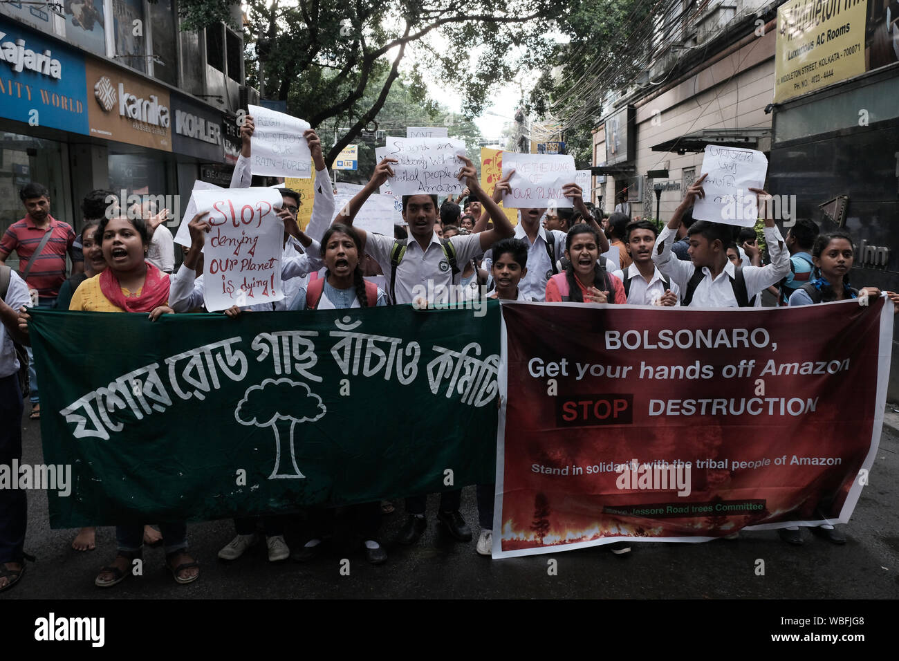 Kolkata, India. 26th Aug, 2019. Activists of Save Jassore Road Trees ...