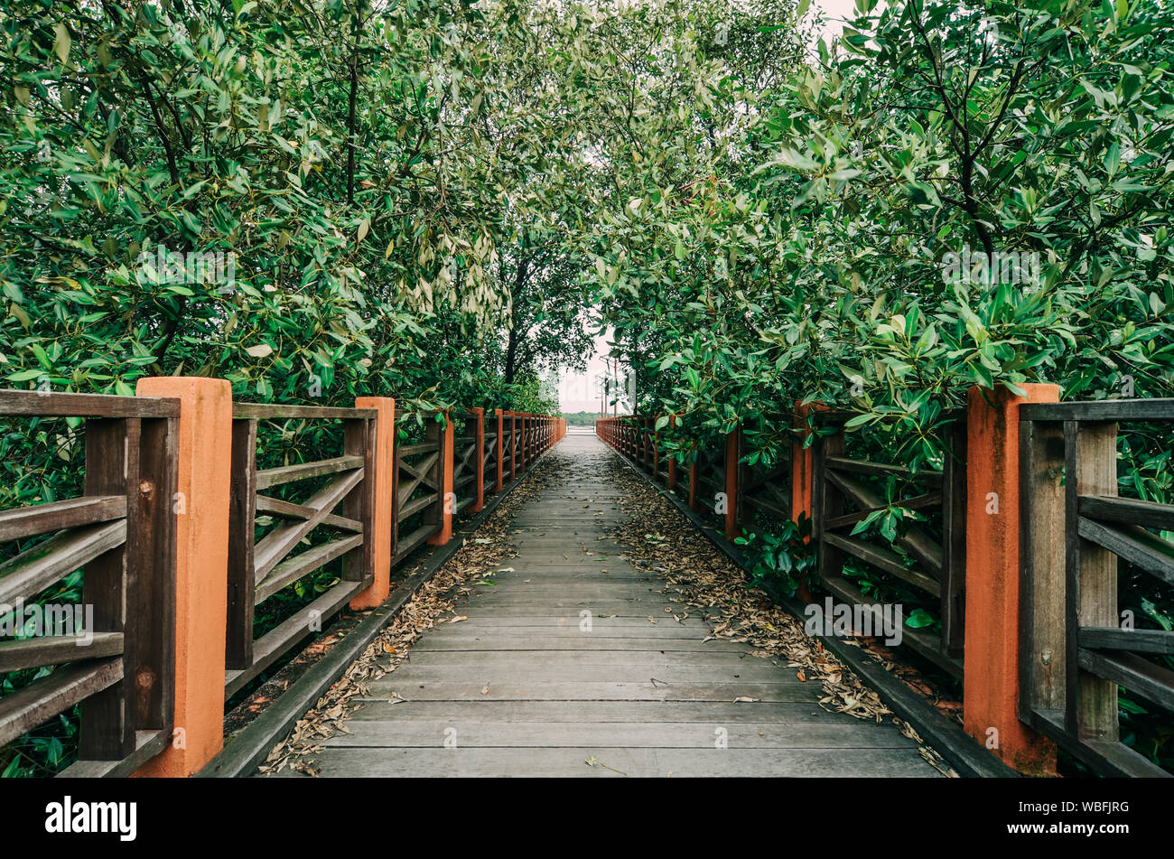 Bamboo footbridge hi-res stock photography and images - Alamy
