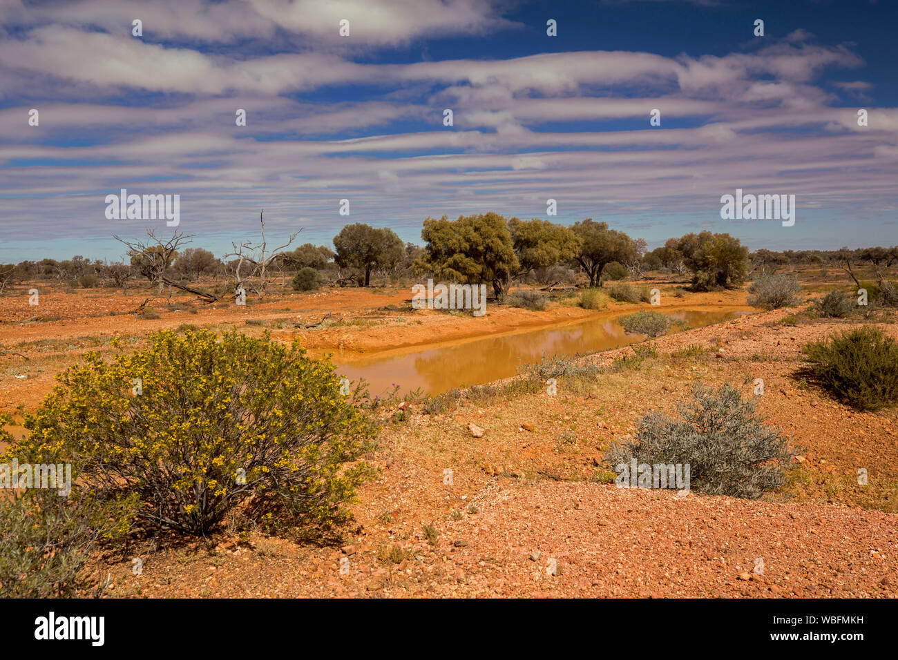 Resilient to climate change hi-res stock photography and images - Alamy