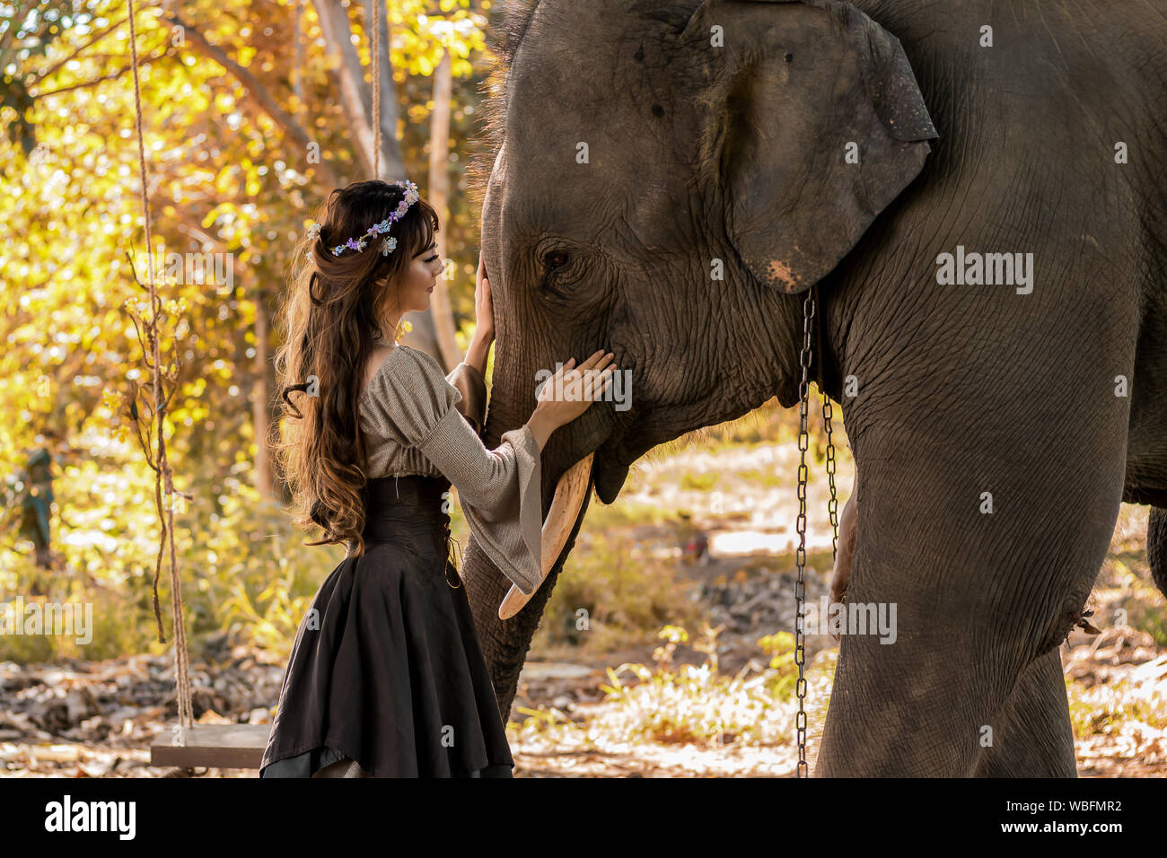 Touching an elephant hi-res stock photography and images - Alamy