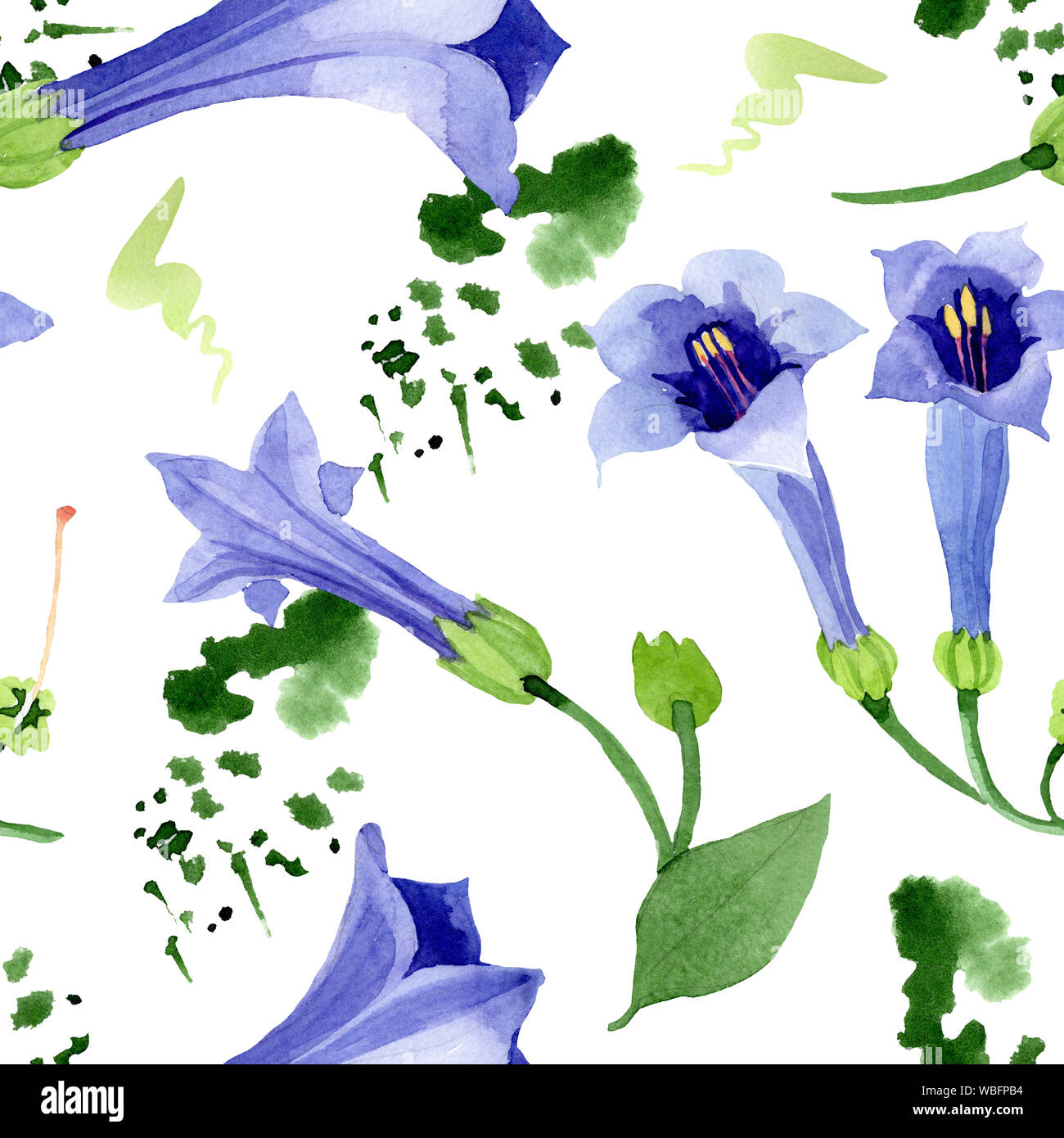 Blue brugmansia floral botanical flowers. Watercolor background ...