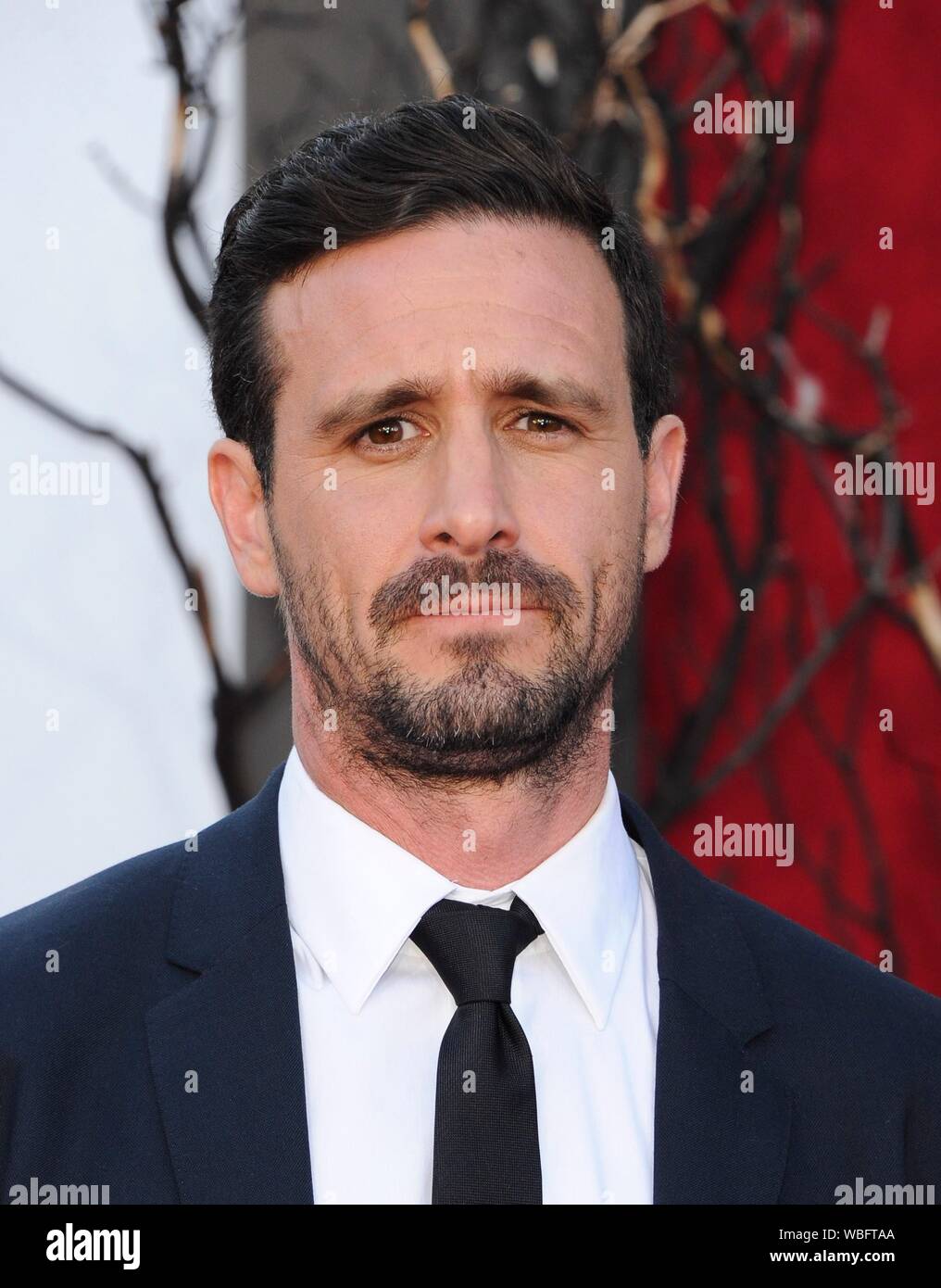 Los Angeles, CA. 26th Aug, 2019. James Ransone at arrivals for IT ...