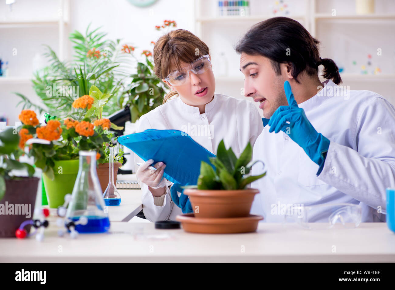 Scientist doctor analyzing botanical plants hi-res stock photography ...