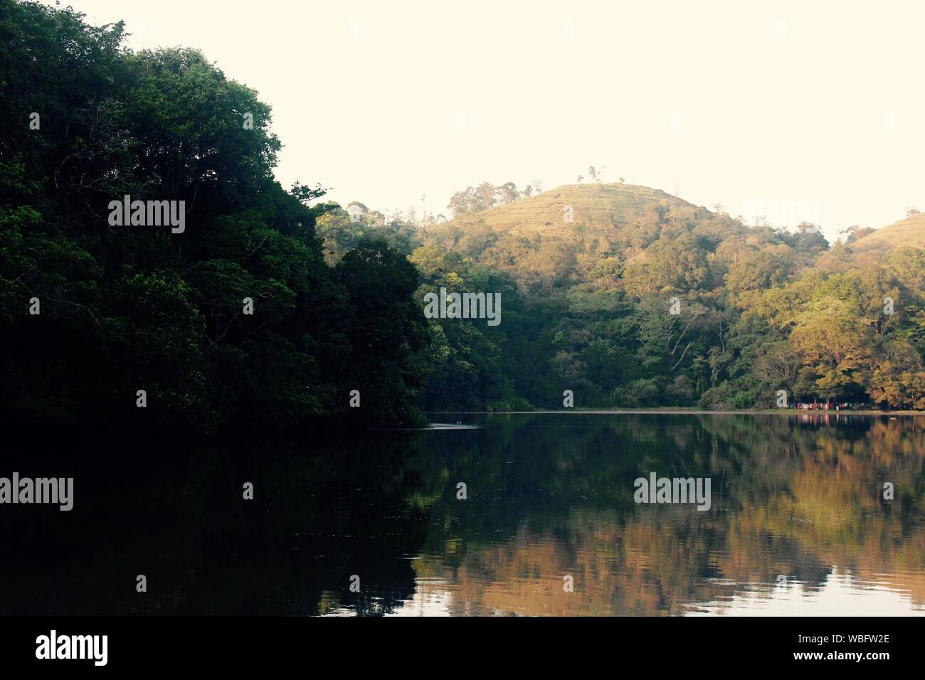 Pookode lake india hi-res stock photography and images - Alamy
