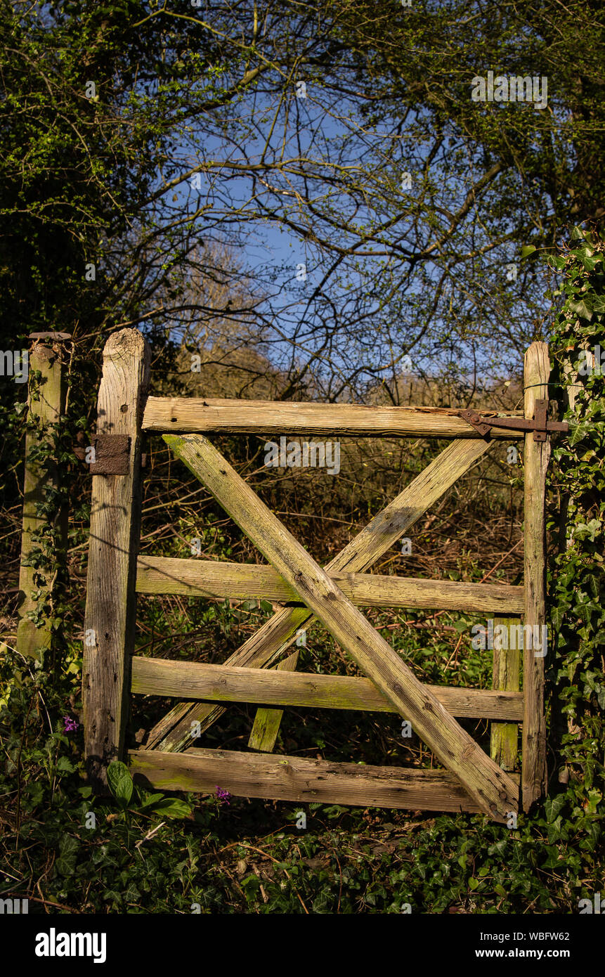 Open gate leading path open hi-res stock photography and images - Alamy