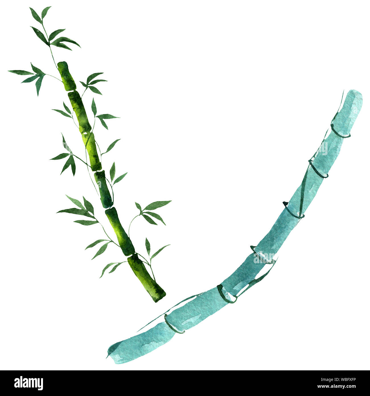 Bamboo green leaves and stalks. Watercolor background illustration set ...