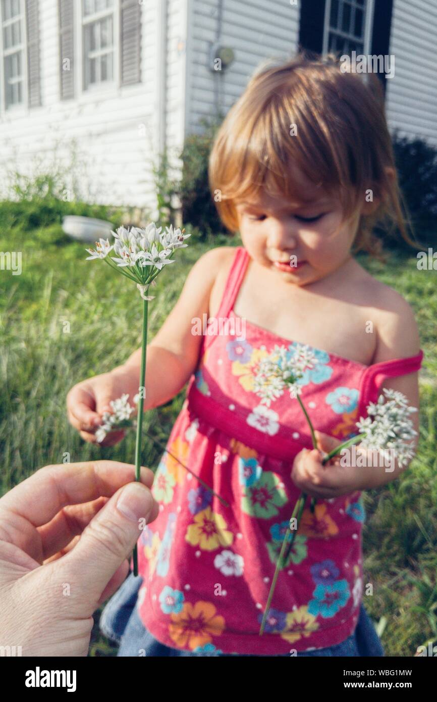 Giving flower hi-res stock photography and images - Alamy