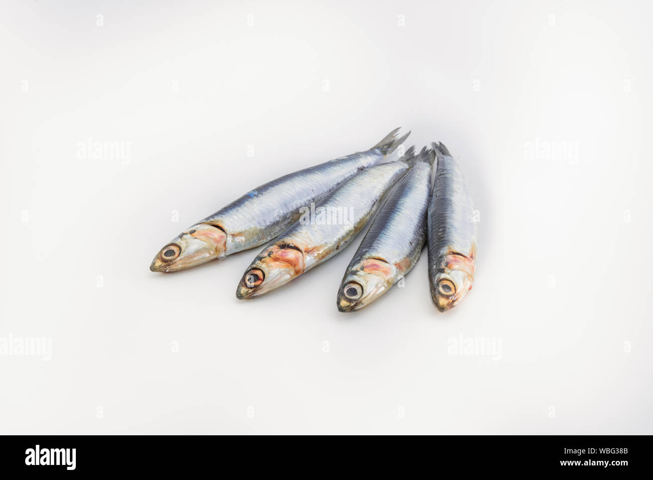 Four voluminous sardines on a white background. Concept of seafood. Top ...