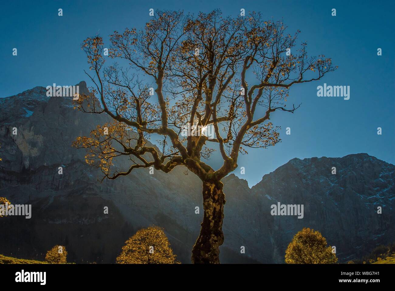 Tree range hi-res stock photography and images - Alamy