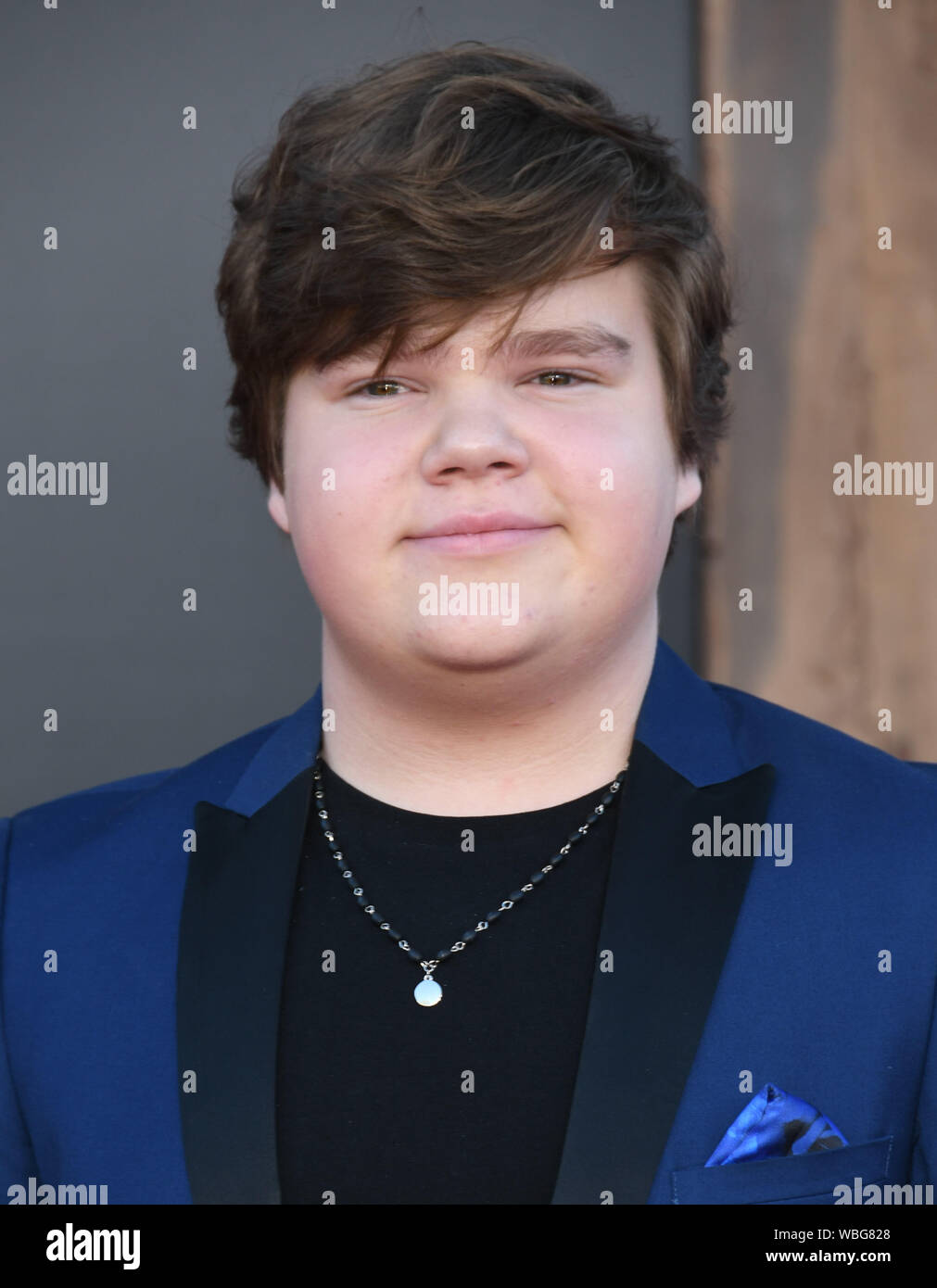 August 26, 2019, Westwood, California, USA: 26 August 2019 - Hollywood ...