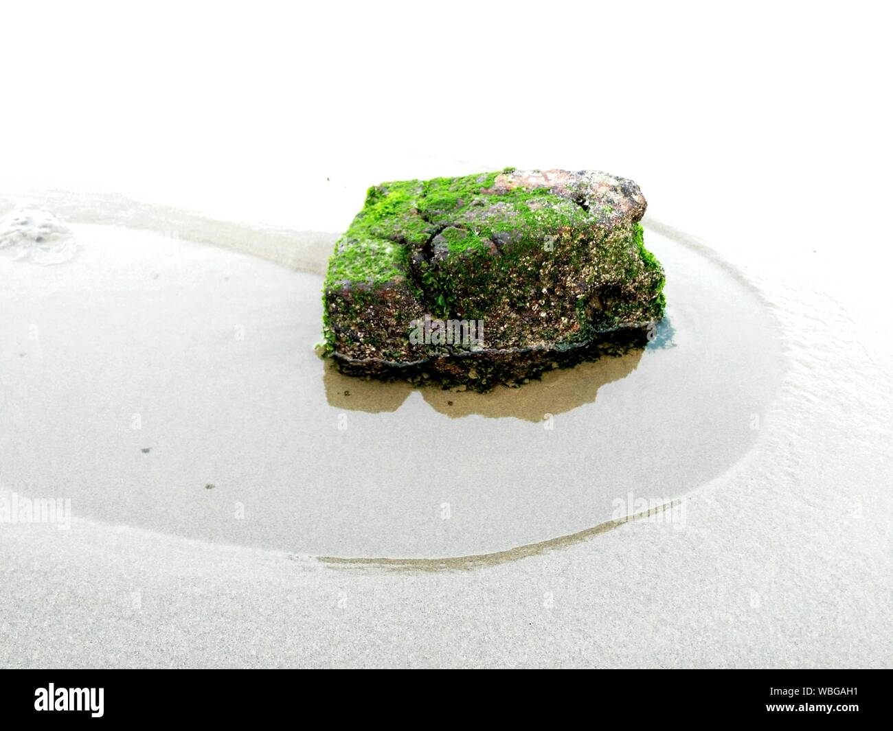 Rock with mossy hi-res stock photography and images - Alamy