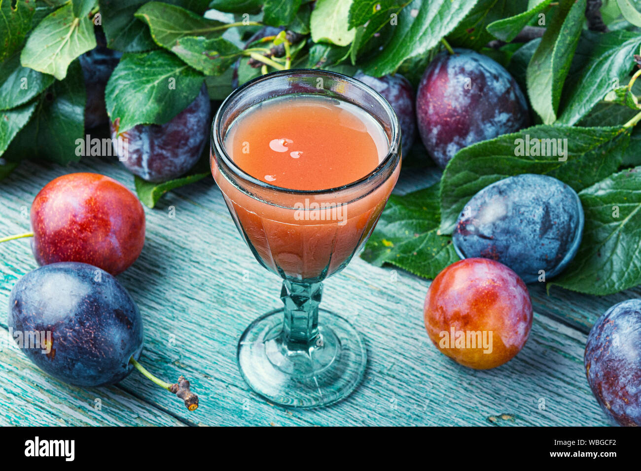 Slivovitsa-plum brandy.Slivyanka,strong alcoholic drink made from ripe ...