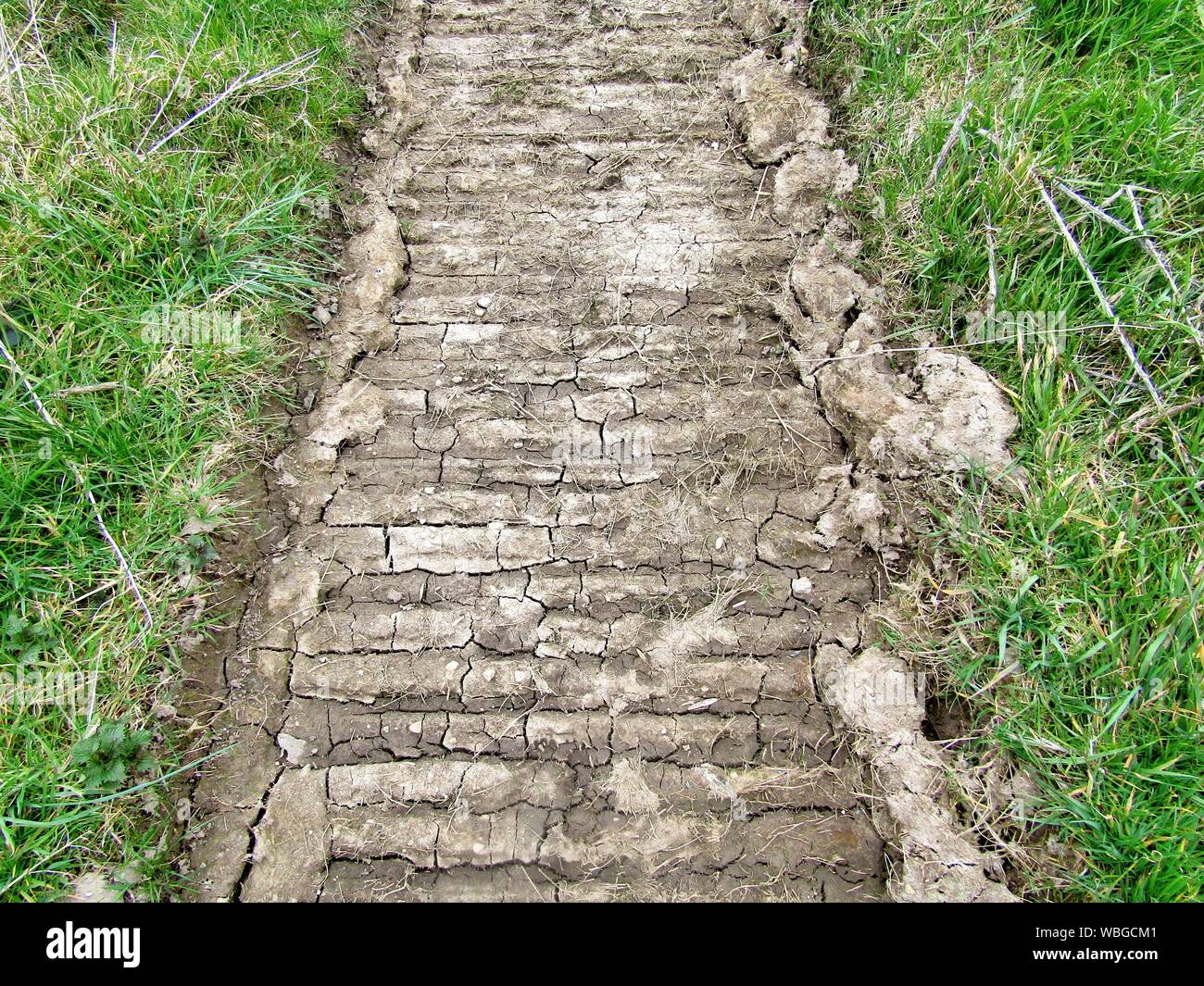Cracked Pathway High Resolution Stock Photography and Images - Alamy
