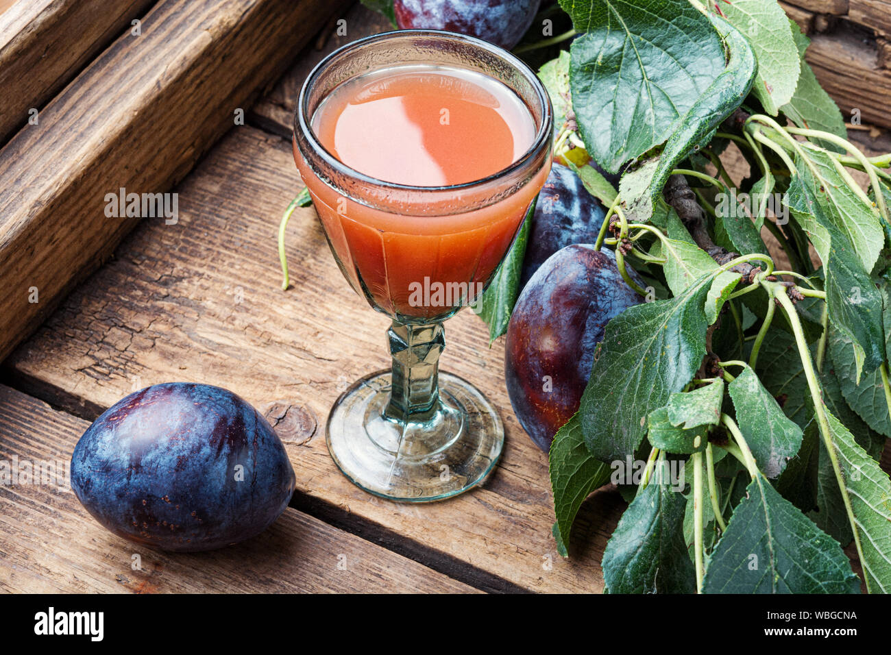 Slivovitsa-plum brandy.Slivyanka,strong alcoholic drink made from ripe ...