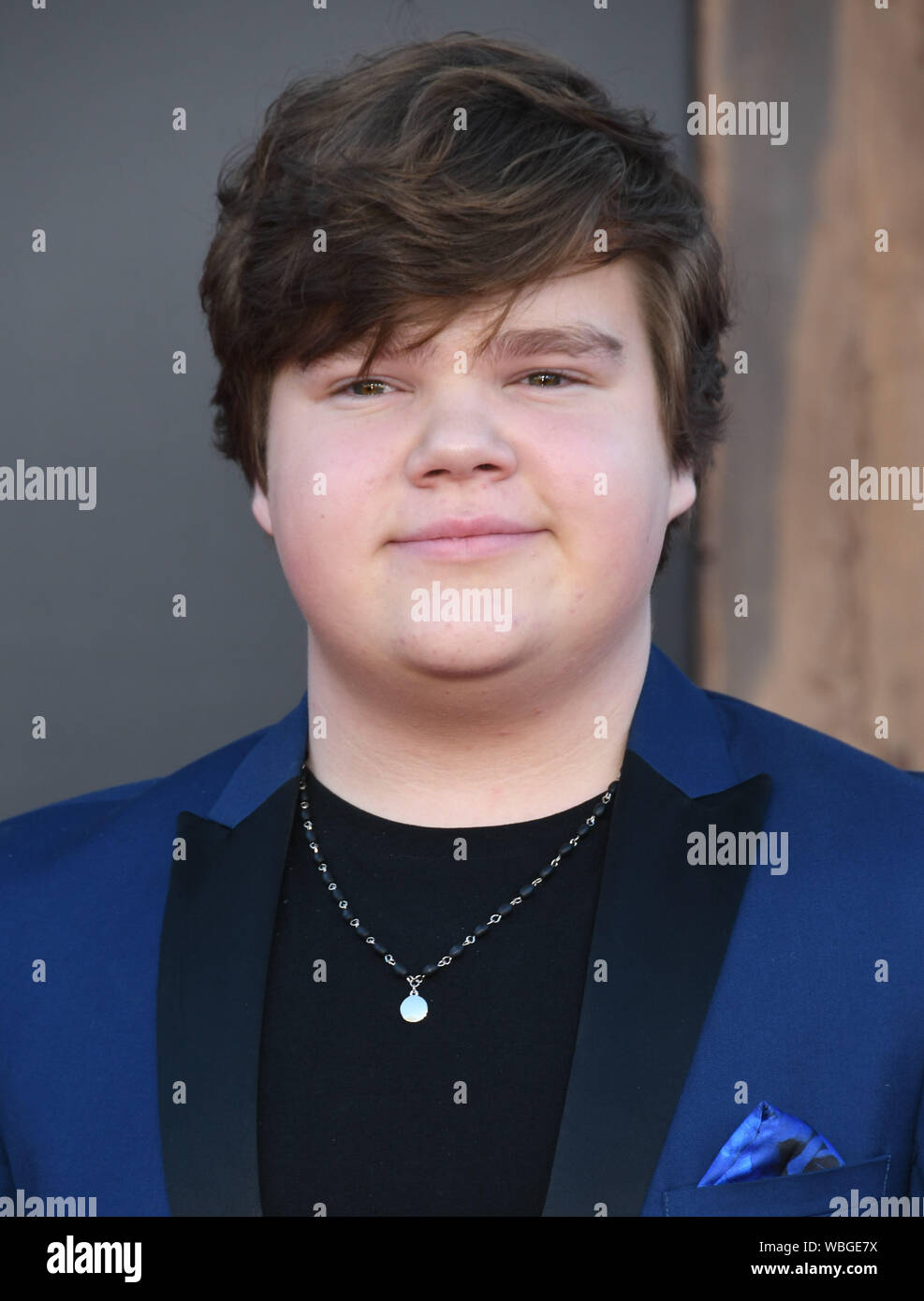 Hollywood, California, USA. 26th Aug, 2019. Jeremy Ryan Taylor. "It ...