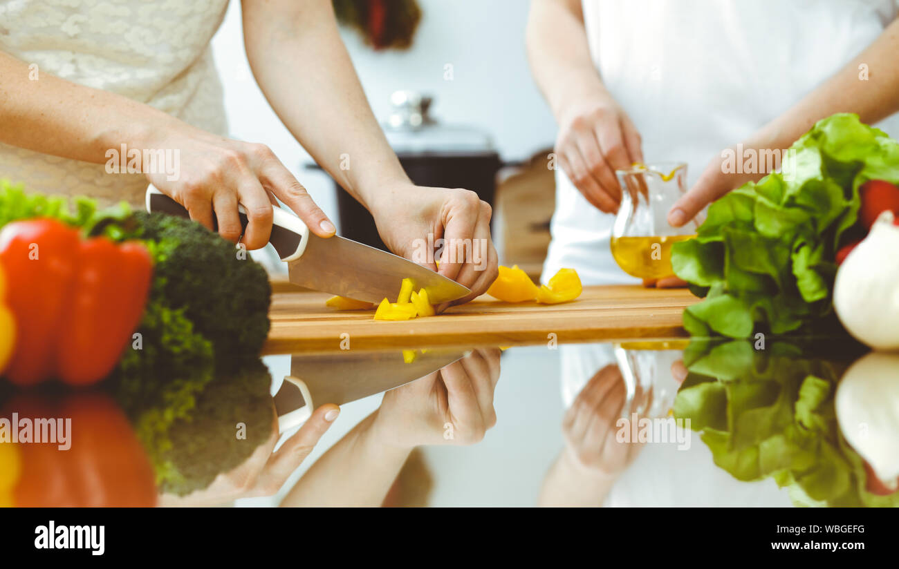 Closeup of human hands cooking in kitchen. Mother and daughter or two ...