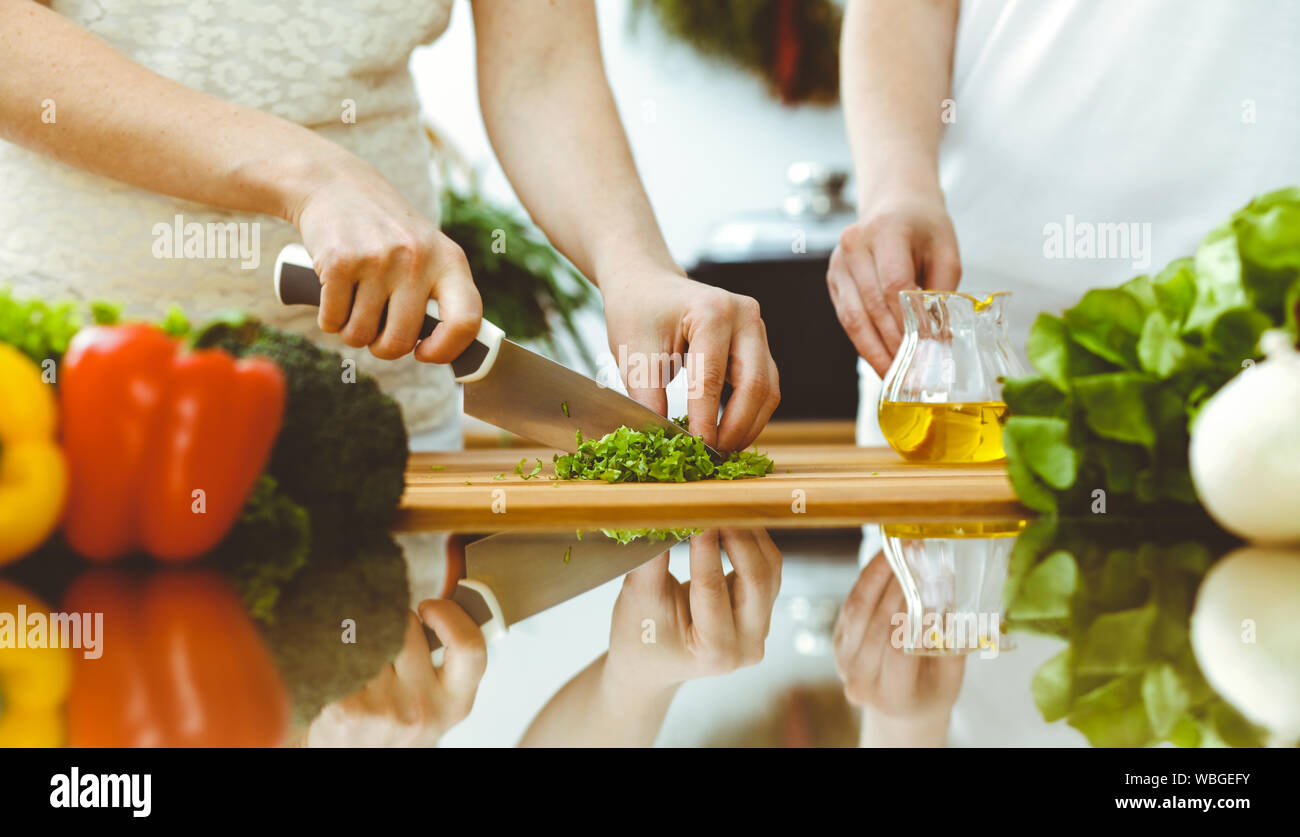 Closeup of human hands cooking in kitchen. Mother and daughter or two ...