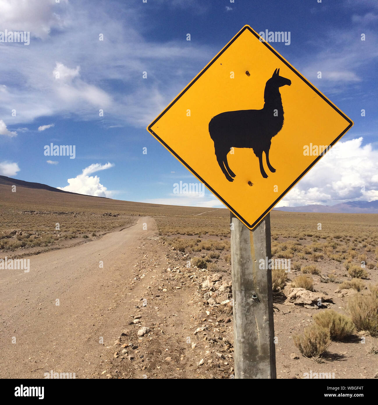 Llama crossing sign hi-res stock photography and images - Alamy