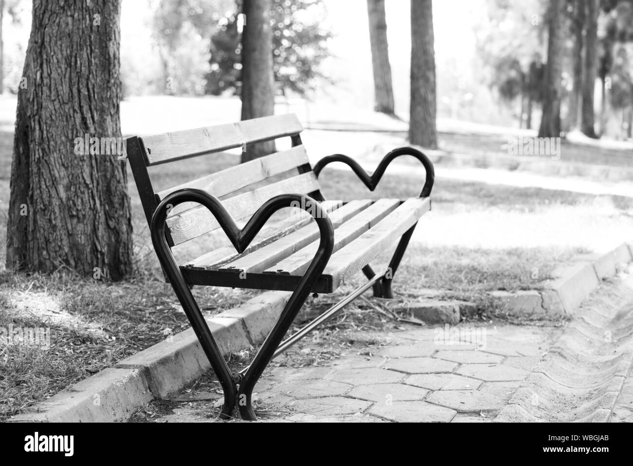Bench heart for lovers in the park on the background. Black and White ...