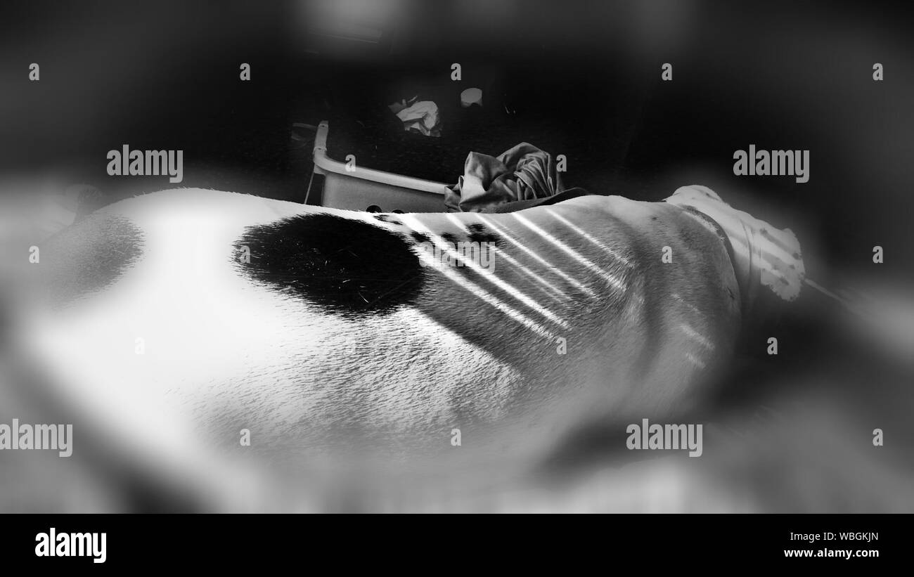 Back view close hi-res stock photography and images - Alamy